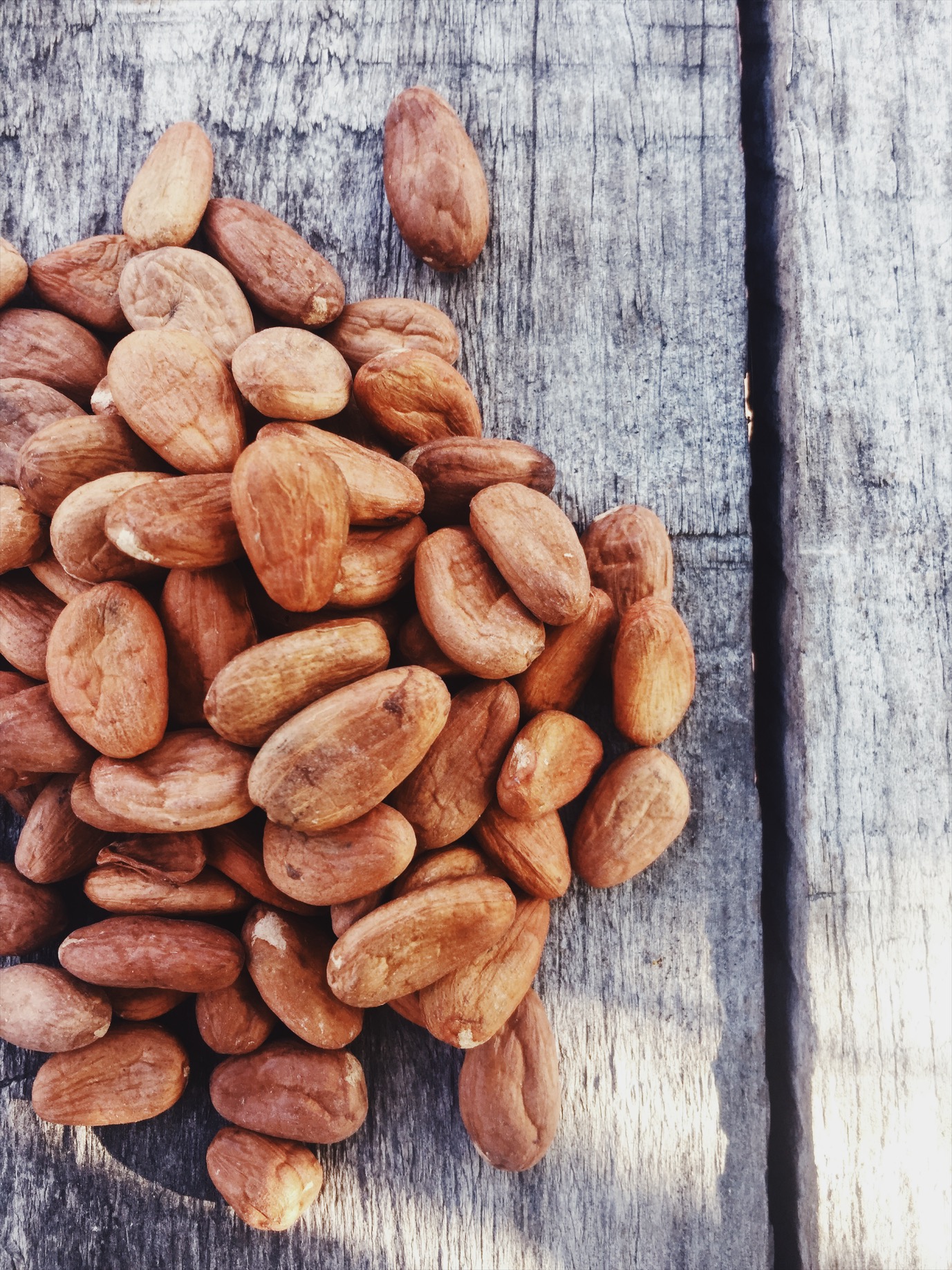 Tienda Online de bliss - nuestro cacao