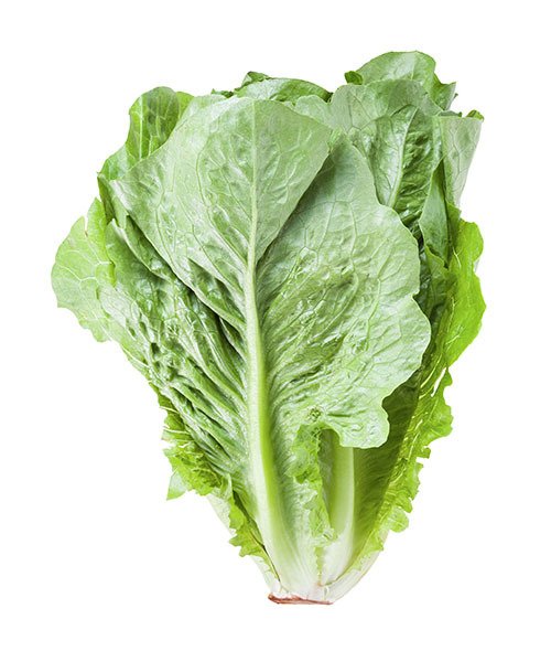 Alface Romana (Maço) - Comprar em Agrobonfim