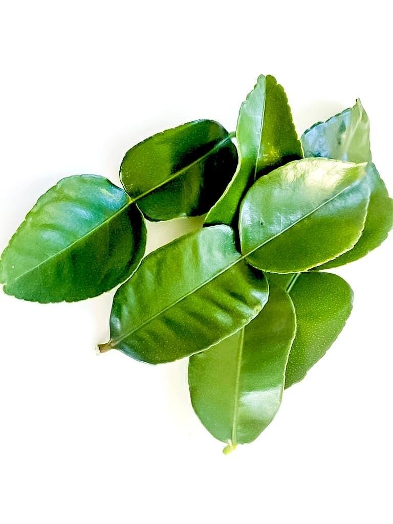 Folhas de Limão Kaffir - Comprar em Agrobonfim