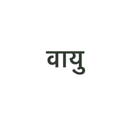 Vayu House Logo