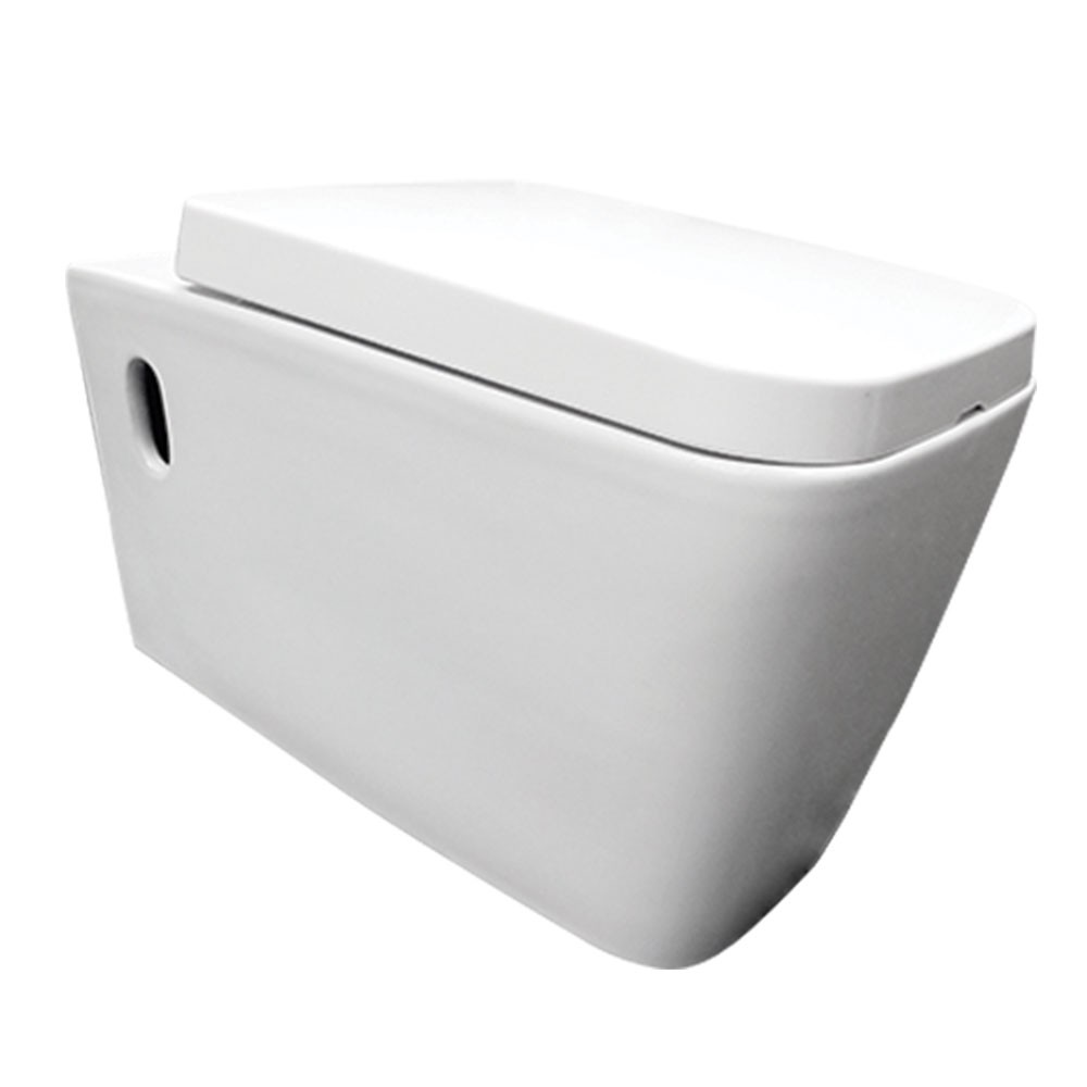 Paquete WC011 suspendido tanque y pulsador Vand