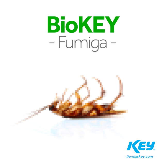 BIOKEY - Comprar en Tienda de Limpieza KEY