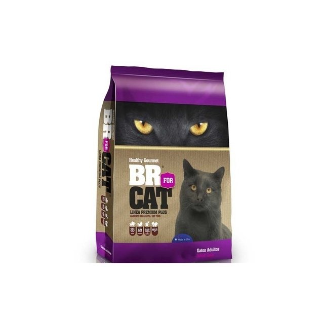 CONCENTRADO PARA GATO BR FOR CAT DOMICILIO BOGOTA COLOMBIA GOOGLE