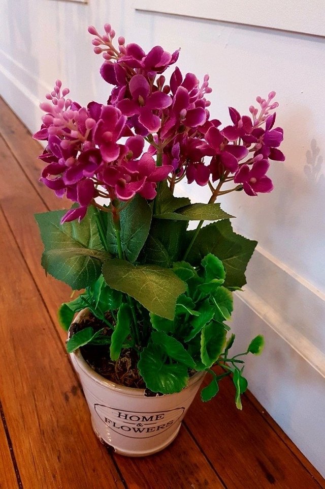 Tienda Online de The Sacks