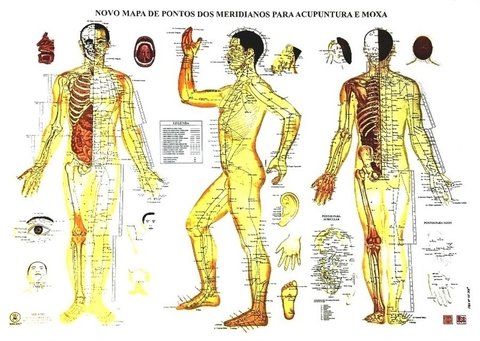 Novo Mapa De Pontos Dos Meridianos Para Acupuntura E Moxa