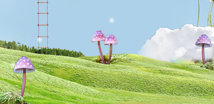 Tienda Online de Agustina Saquer