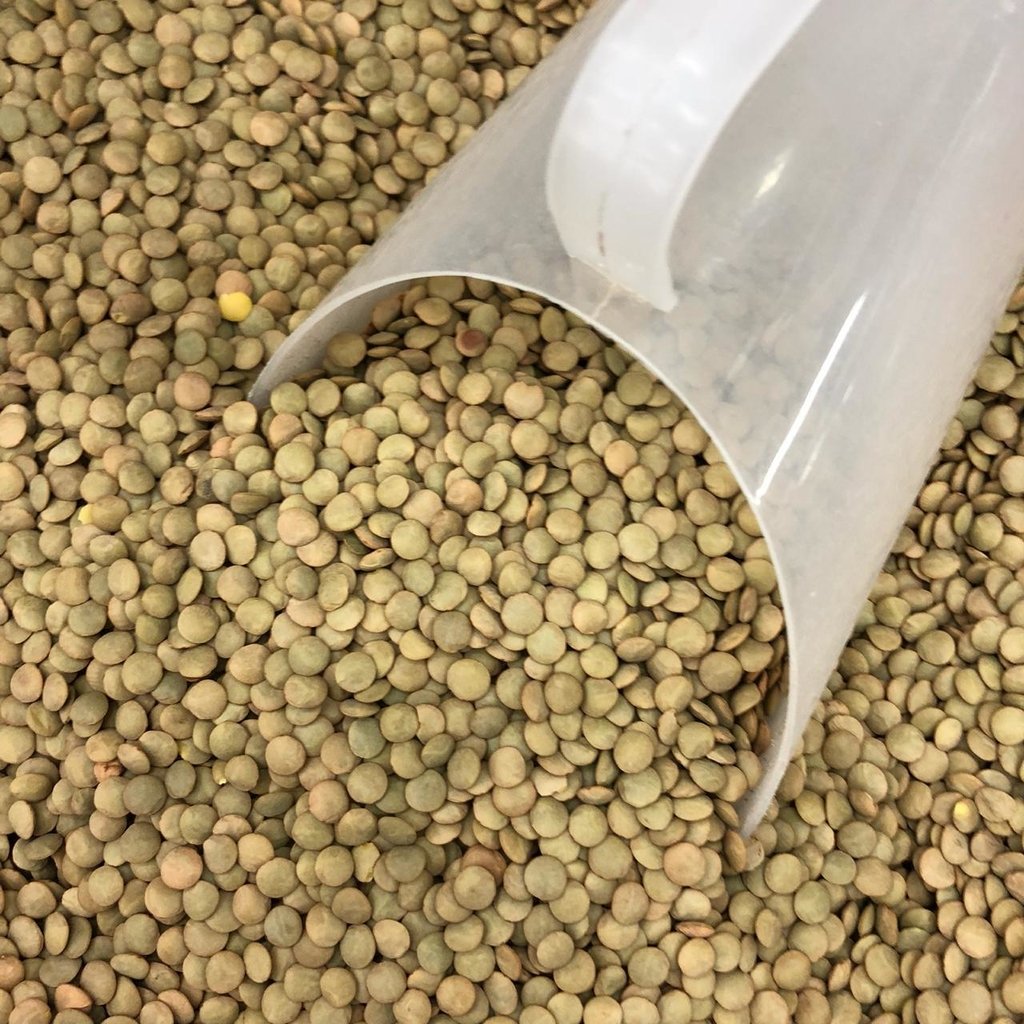 LENTILHA CANADENSE | 100g - Empório Natural Foods