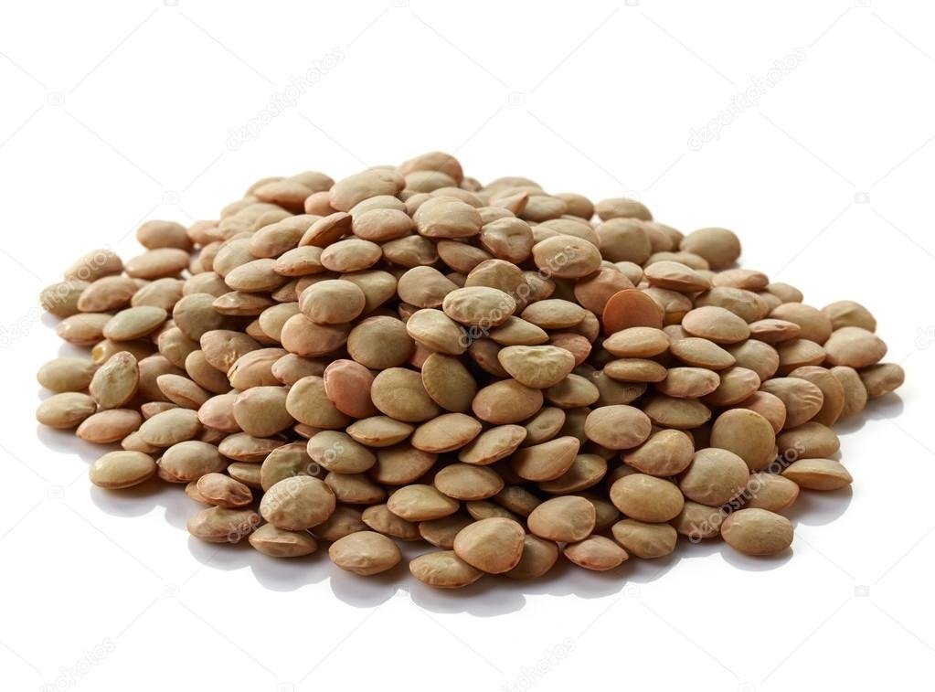 LENTEJON CANADIENSE - Natural Dietética Online